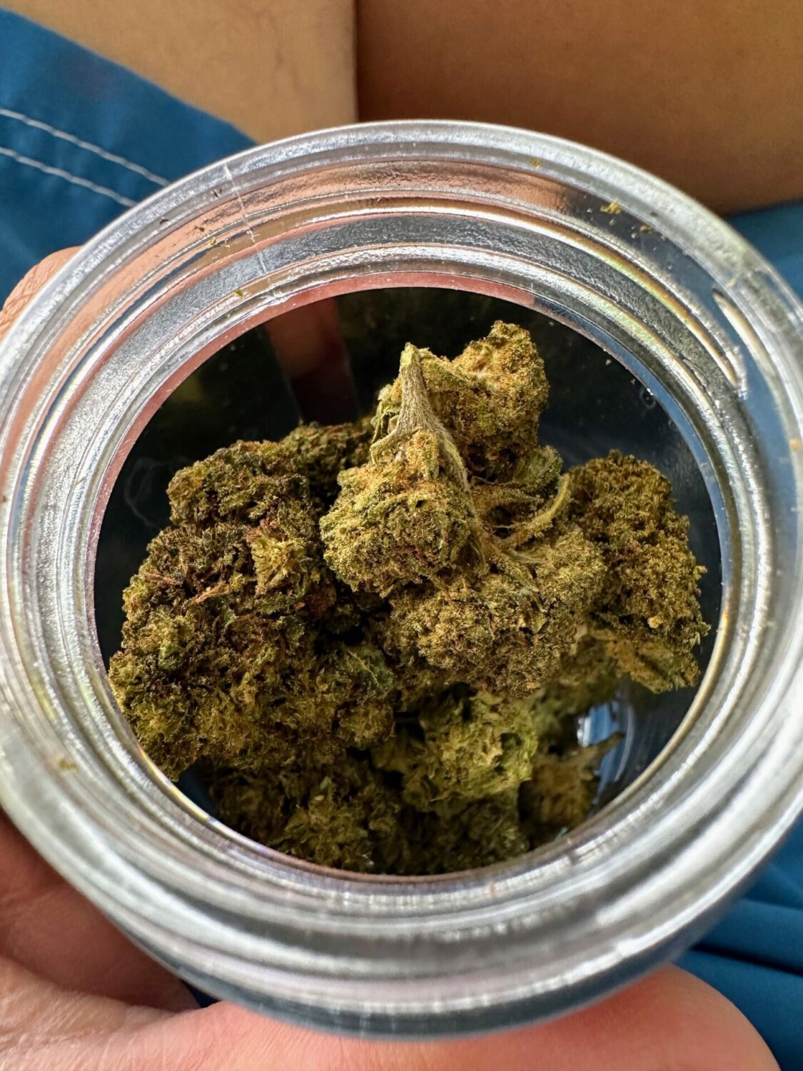 Torch THCA Flower: Godfather OG (Indica) Review - Tony Reviews Things