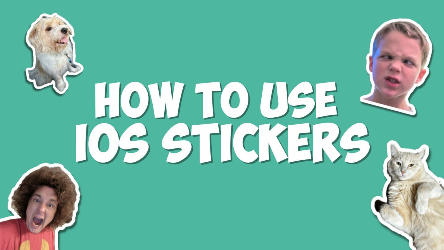 How to use iOS Stickers - And Why You Should Be Using Them - Tony ...