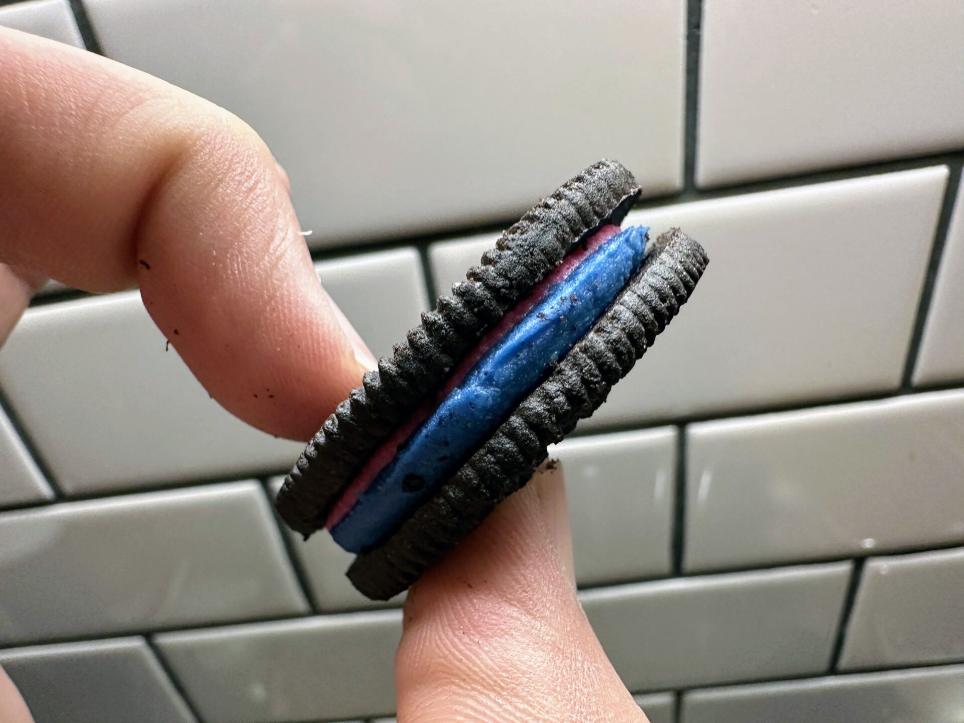 OREO Space Dunk Cookies Review: The Best OREOs Ever Made? - Tony ...